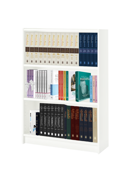 SIE Premium Library - 56 Books (see description)– Sichos In English